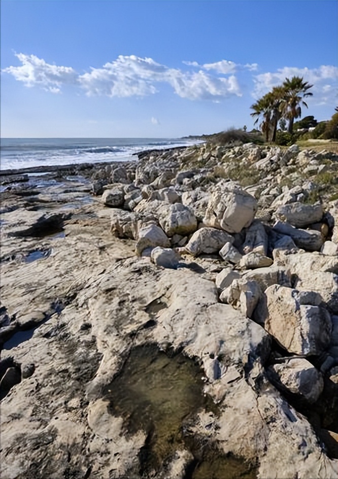 The importance of rocky shoreline stability, the triple relationship of ...