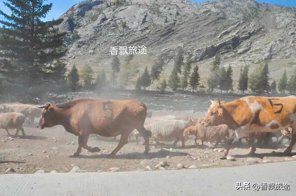 Xinjiang Fuyun (2) Keketuohai - iMedia