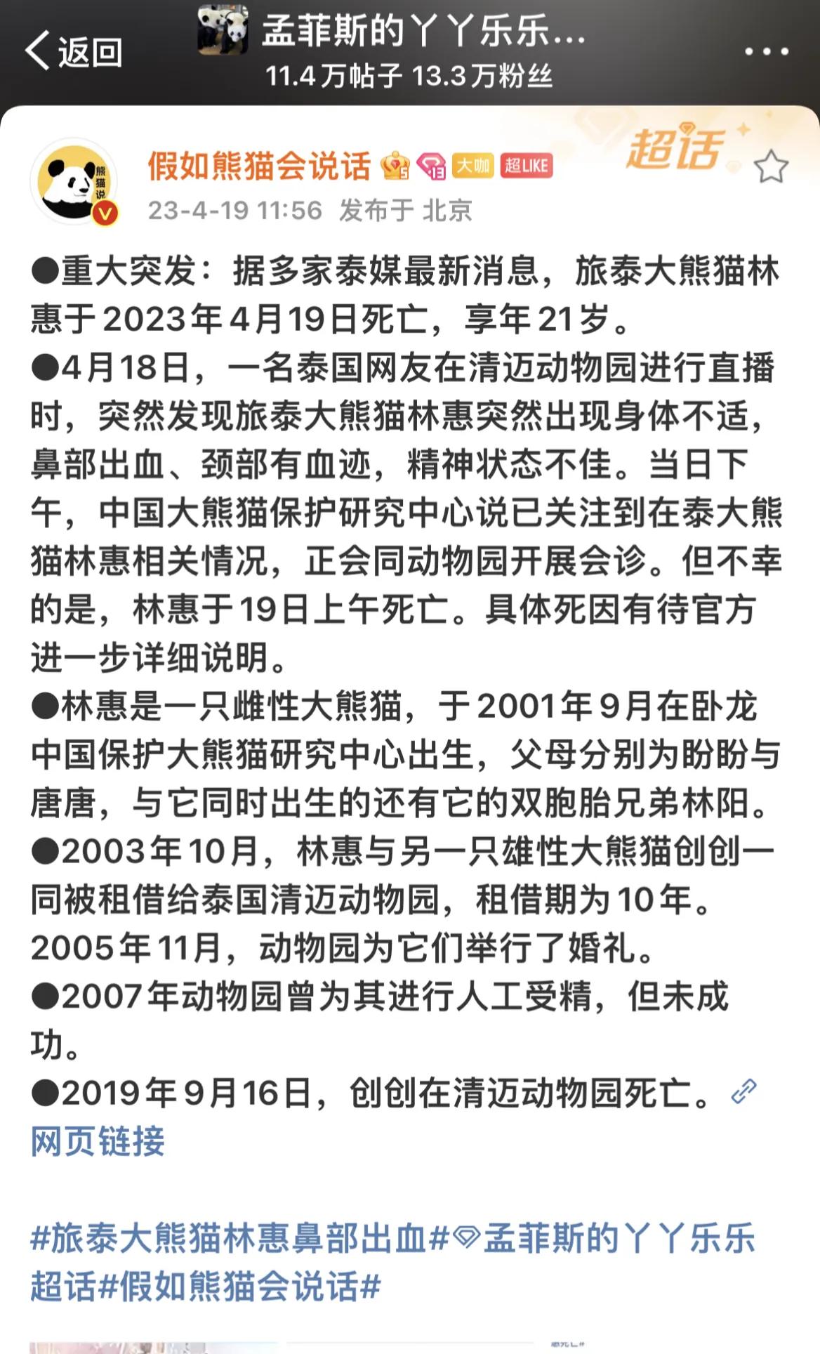 Another panda hero has fallen—in memory of Lin Hui! - iNEWS