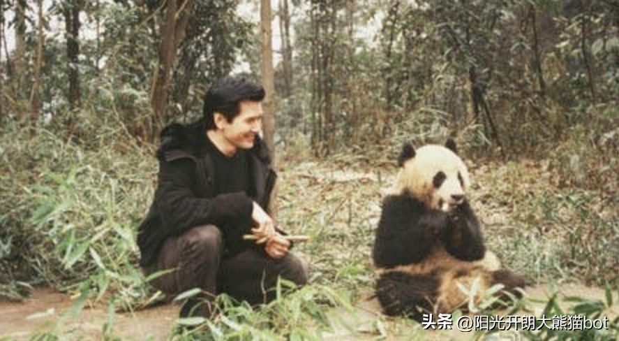 Beginning with good looks, loyal to character, the story behind the ...