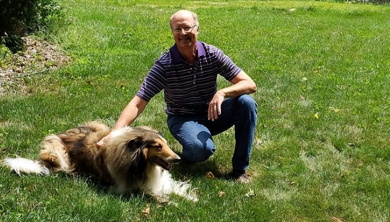 Soviet scientists created a two-headed dog in the last century, and the ...