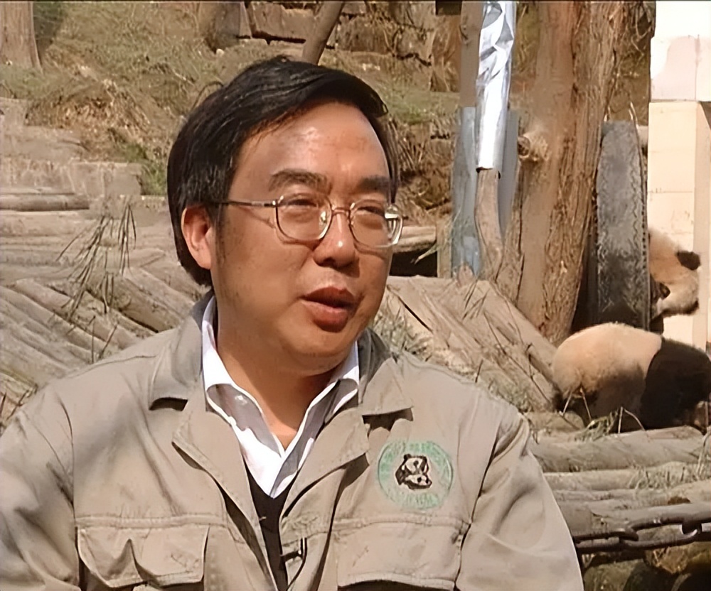 "Panda Dad" Zhang Hemin and his 128 "Panda Cubs" (Part 1) - iNEWS