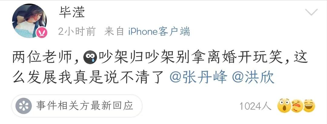 Zhang Danfeng and Hong Xin officially announced their divorce late at night! It was revealed ...