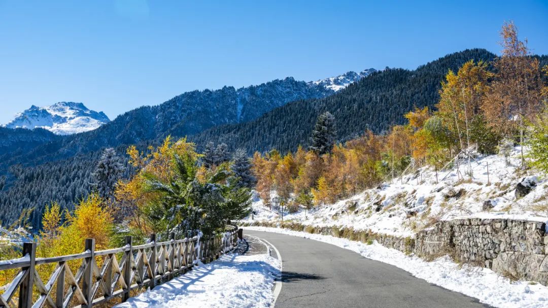 Tianshan Tianchi, a paradise within reach - iNEWS