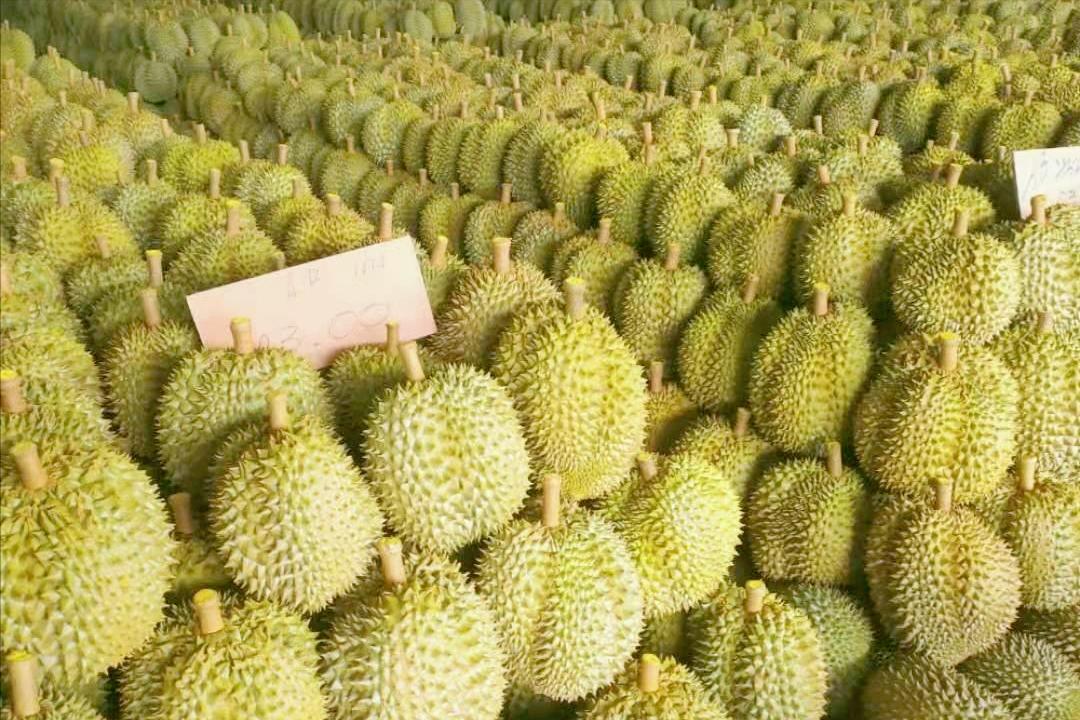 The countdown to "Durian Rotten Street" is running out of time for Thai ...