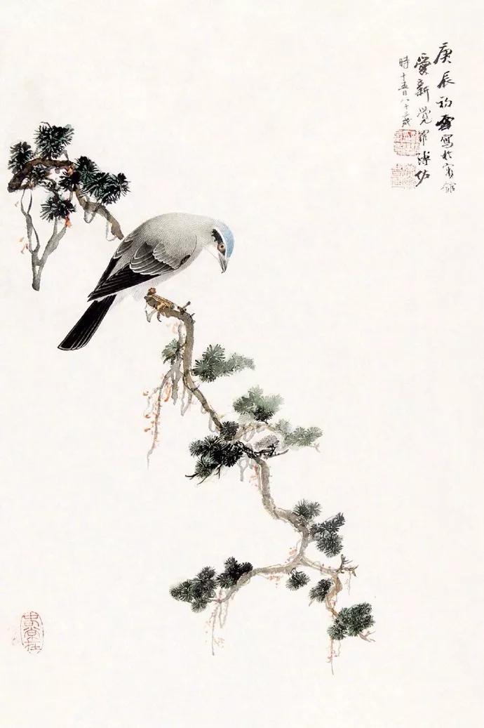 Influenced by his family since he was a child, Pu Zuo, who loves ...