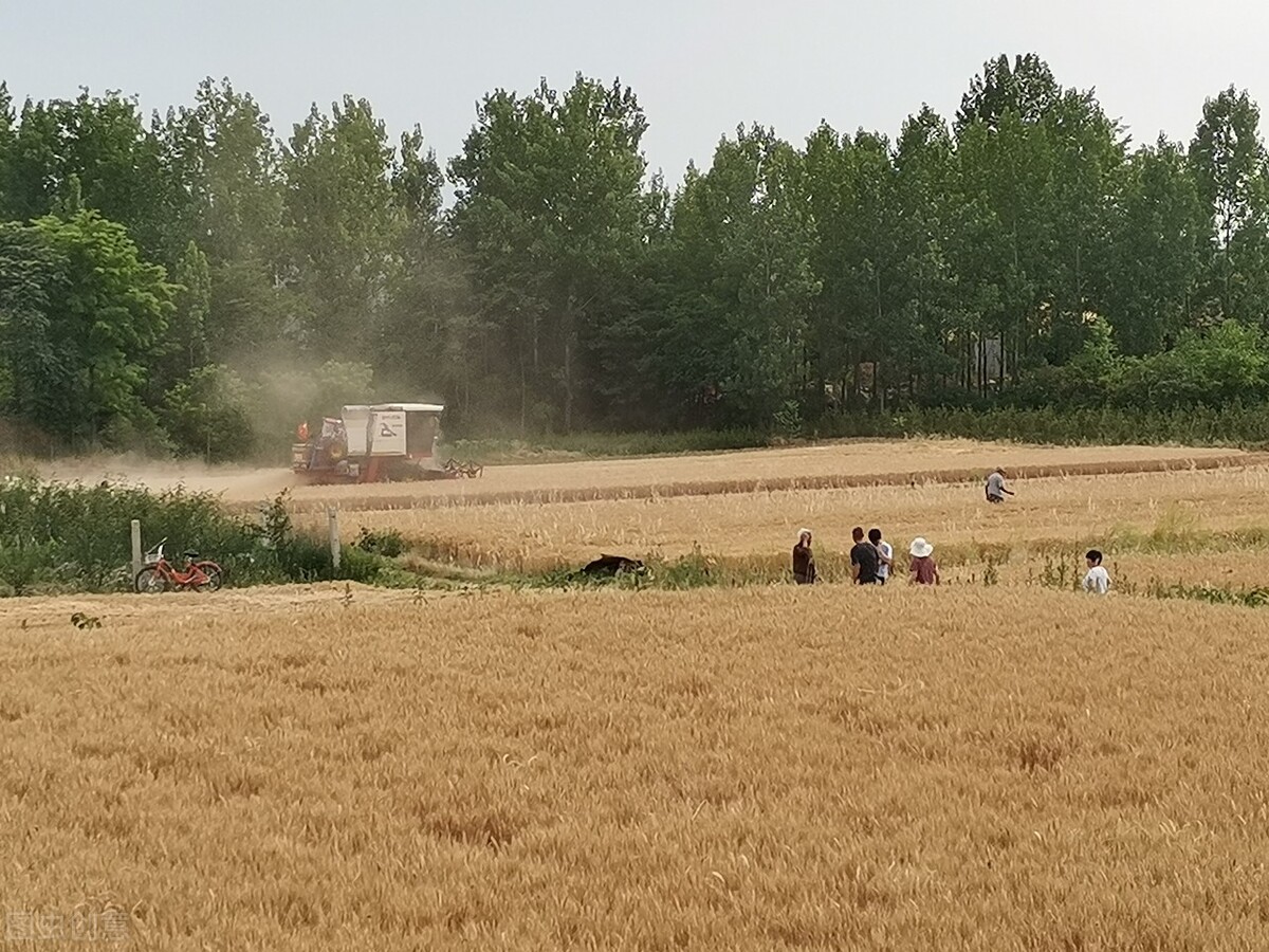 So far away from the end of the world, three discussions on the ...