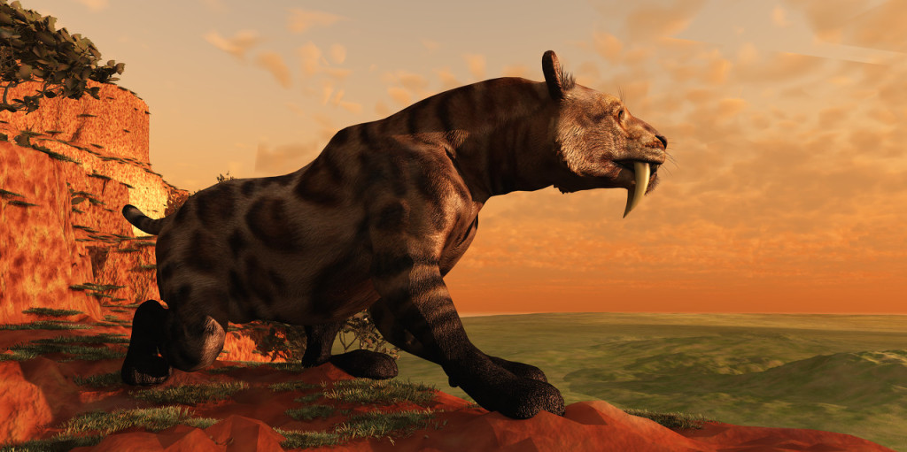 A subspecies of saber-toothed tiger appears in Africa? Able to live in ...