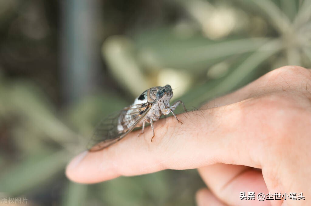 Learn "Very Miscellaneous Miscellaneous Knowledge" 57 - iNEWS