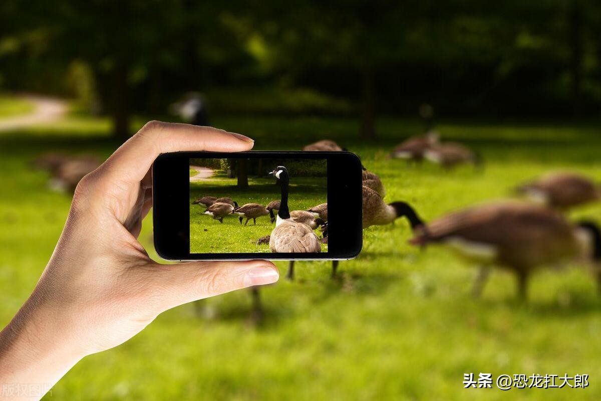Ranking of domestic Android mobile phone camera effects. Do you want to ...