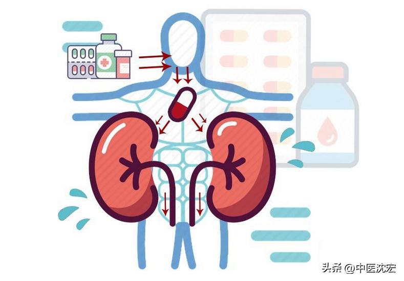 Boil water with two kinds of medicine, tonify the kidney, generate ...