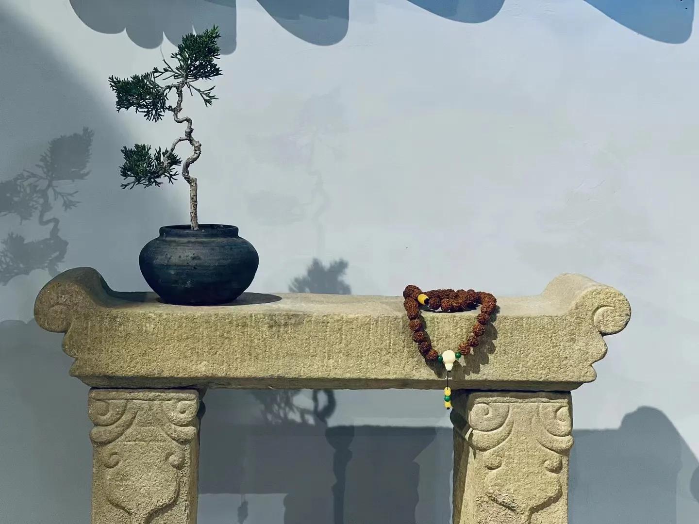 ~Small cases - iNEWS