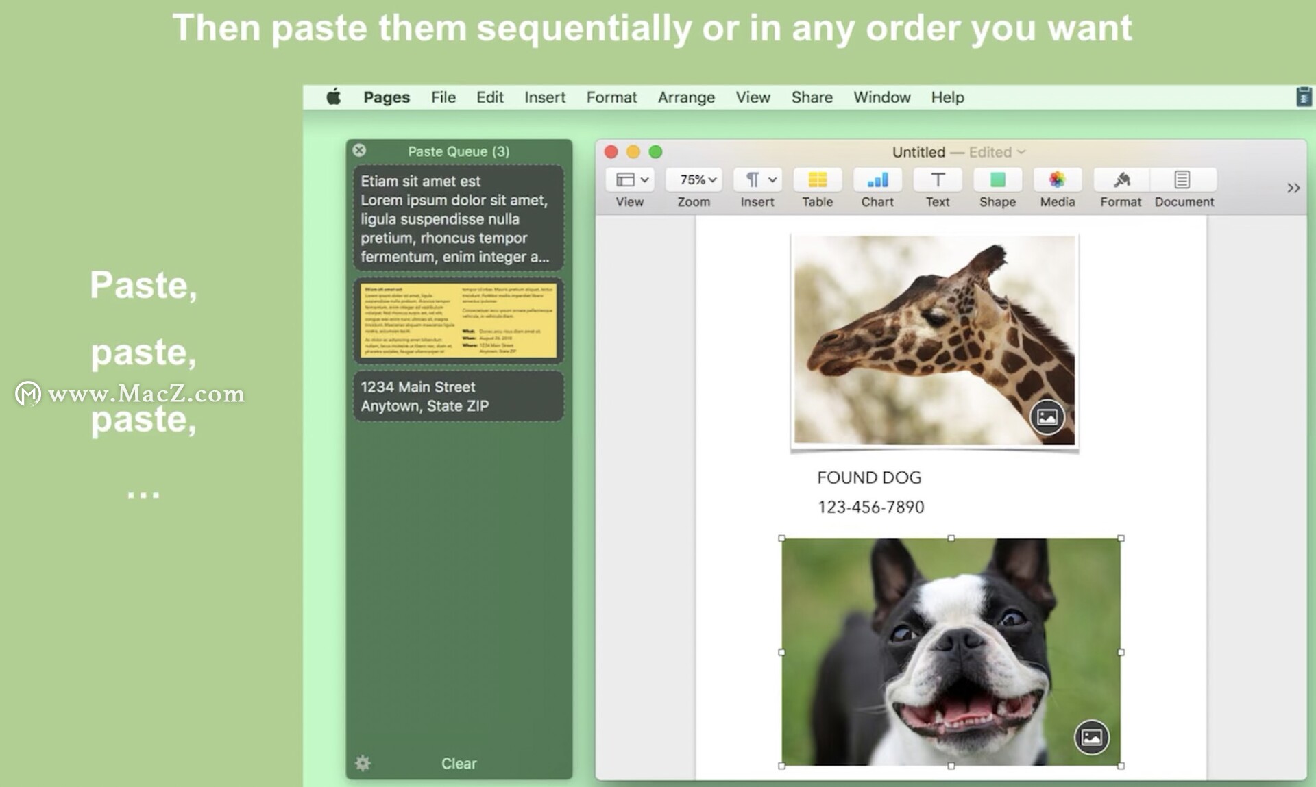 Paste Queue for Mac (multiple copy and paste tool) v1.6 Chinese version - iMedia