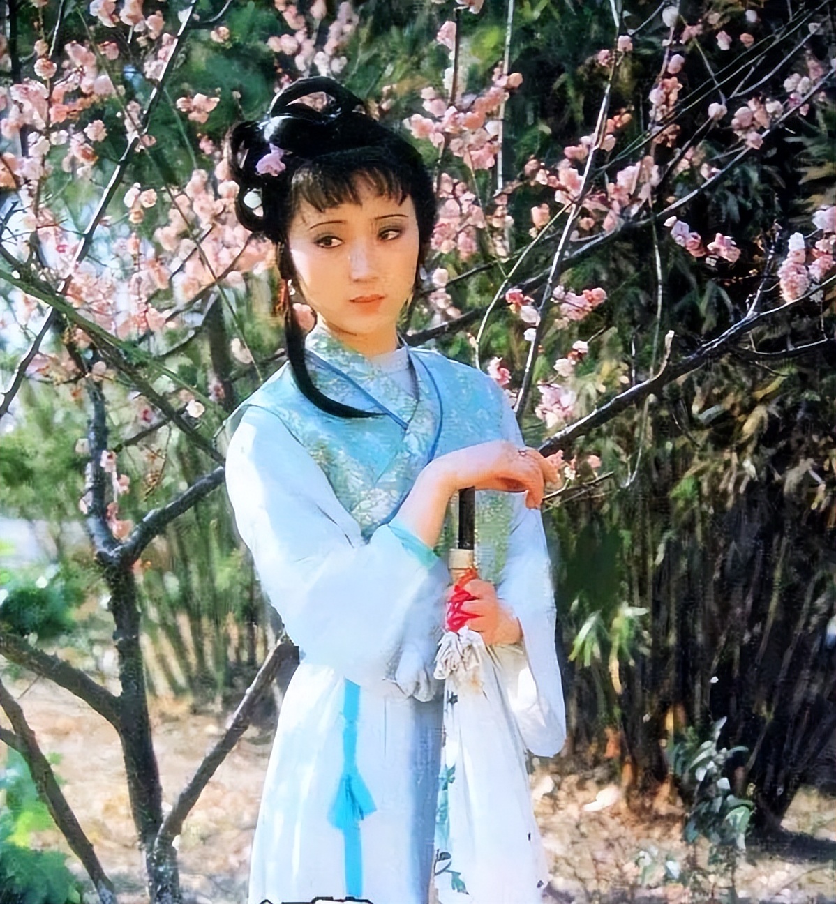 Exploring the Red Chamber: Jia Xichun's Life Experience and the Mystery ...