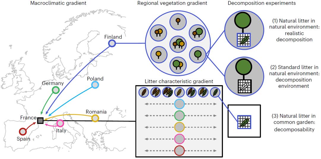 Nature Ecology & Evolution: Clarifying the complex role of climate in ...