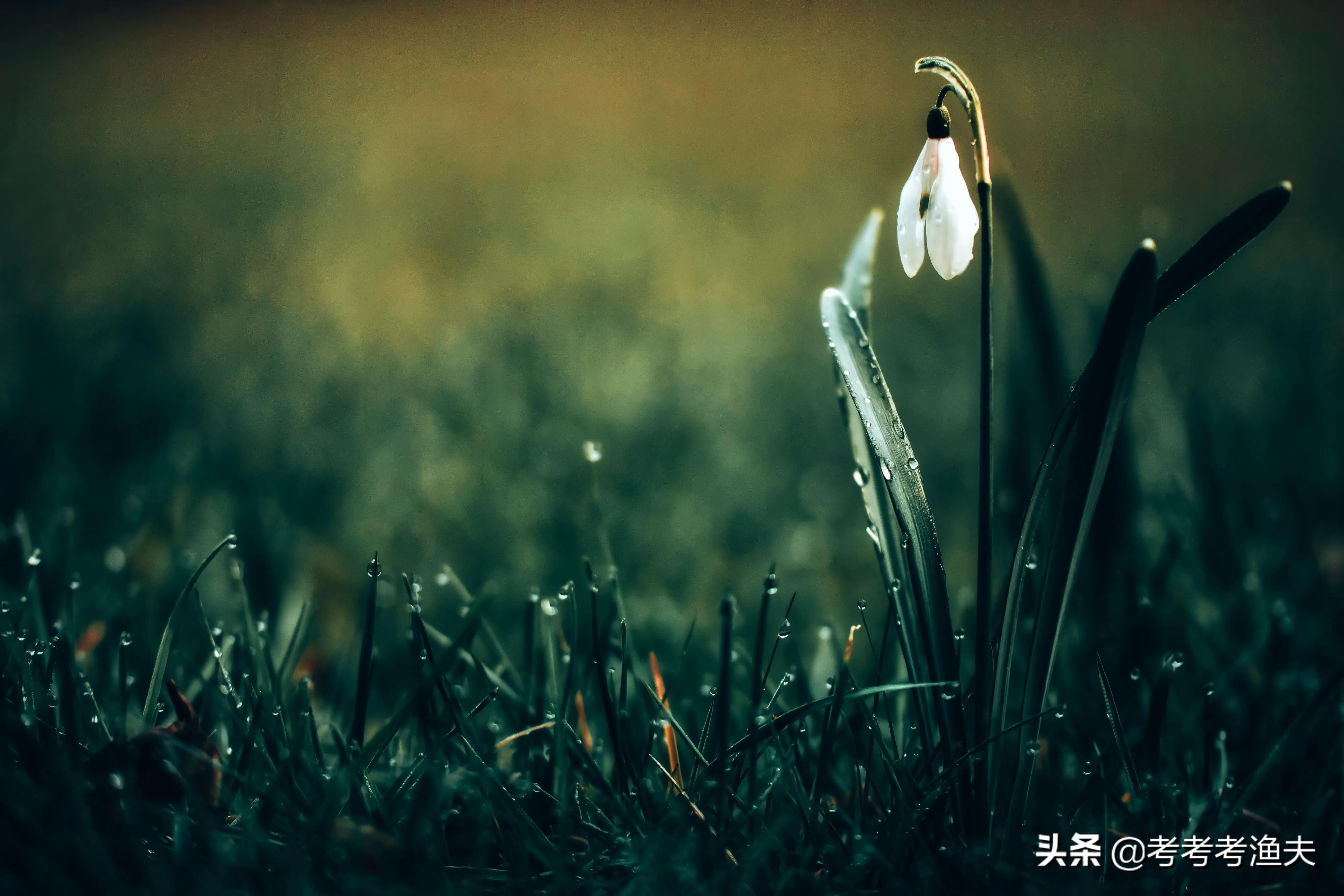 Xu Zhimo's 32 classic quotations - iNEWS