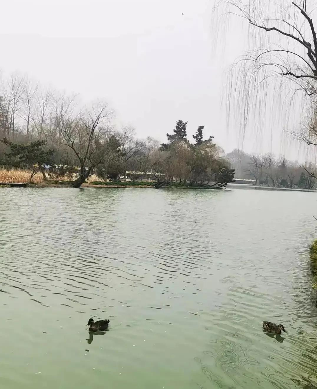 The charm of early spring in Yangzhou - iNEWS