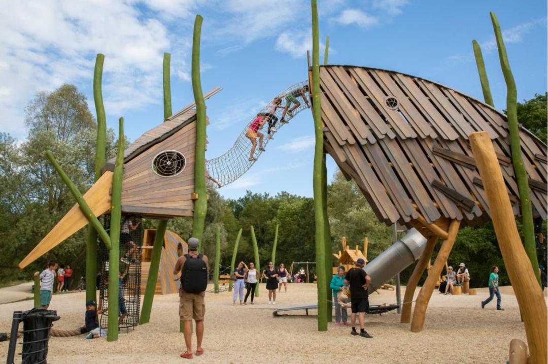 Novelty Animal Adventure: "Fierce Animals" Hidden in Children's Nature Playground - iNEWS