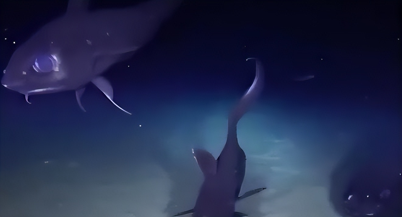 Rare giant deep-sea fish discovered in Japan, but experts say it will ...