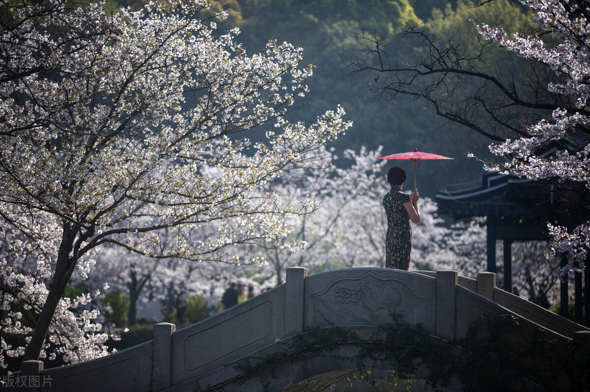Li Garden: Gardens in the South of the Yangtze River in Ink Painting ...