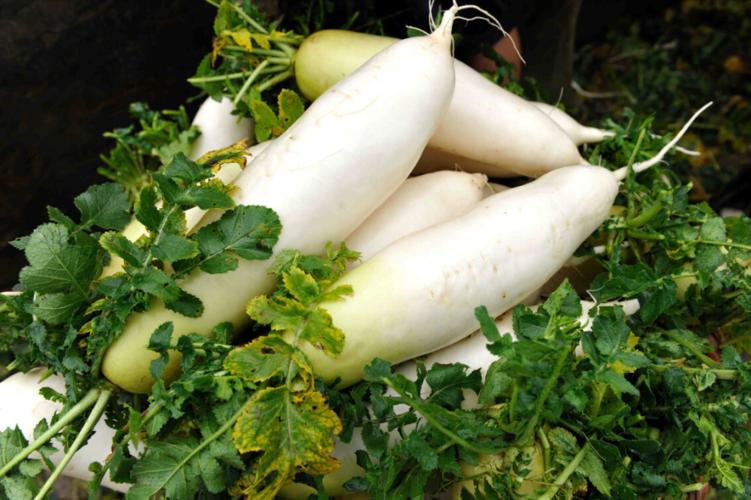 The radish is preserved in this way, it will not be rotten or brany ...