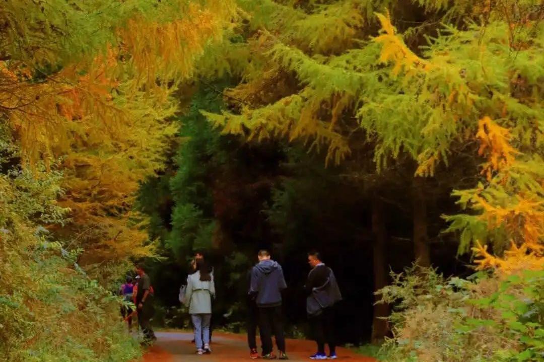 It takes 2 hours from Chengdu to go directly to the beautiful Panshan ...