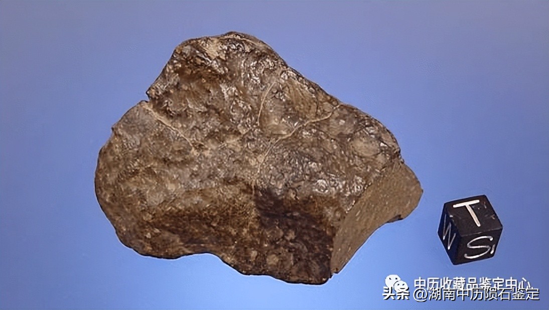 This meteorite is different from other meteorites - iNEWS