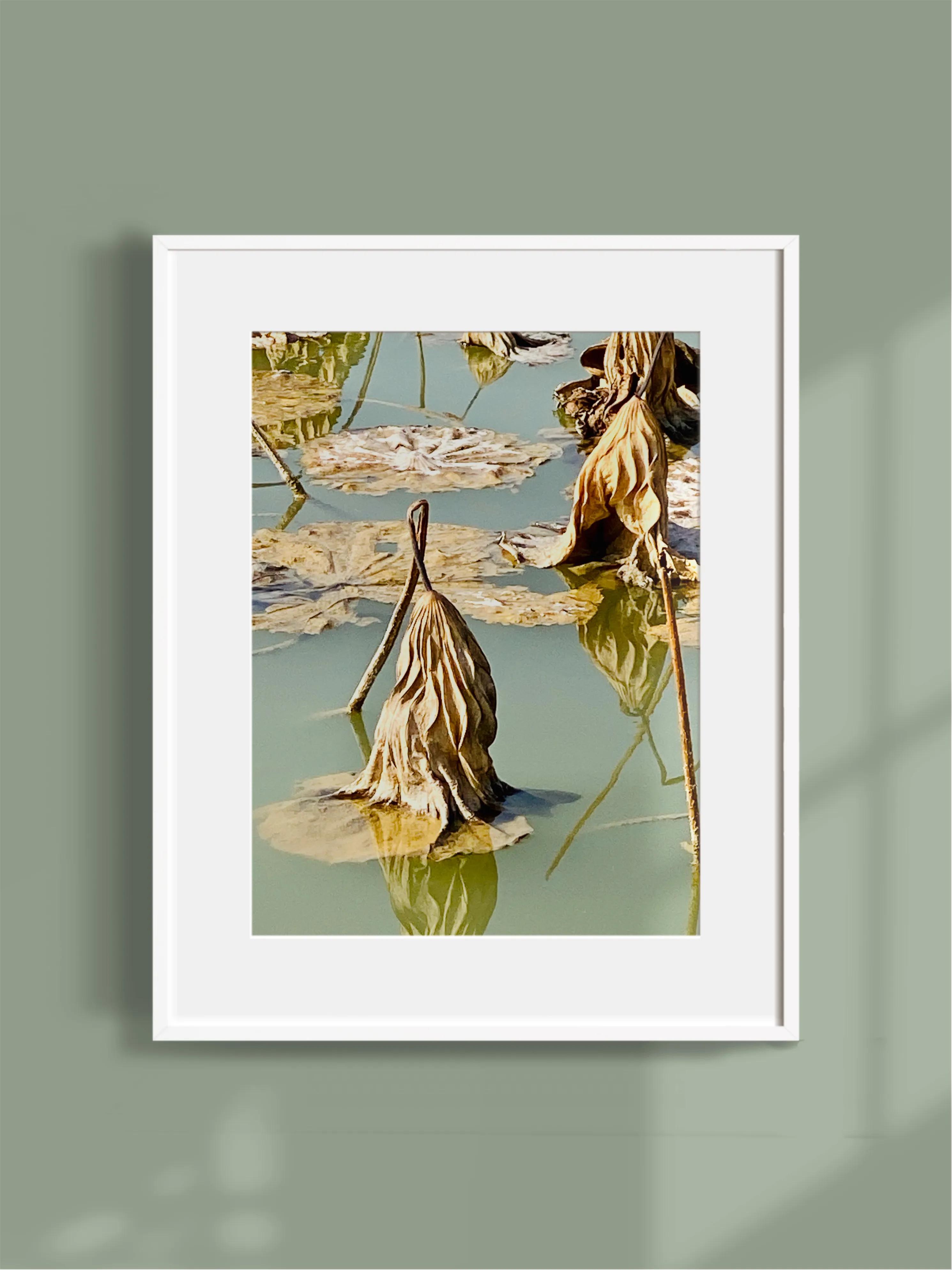 "Ding Fengbo · Winter Solstice" - iNEWS