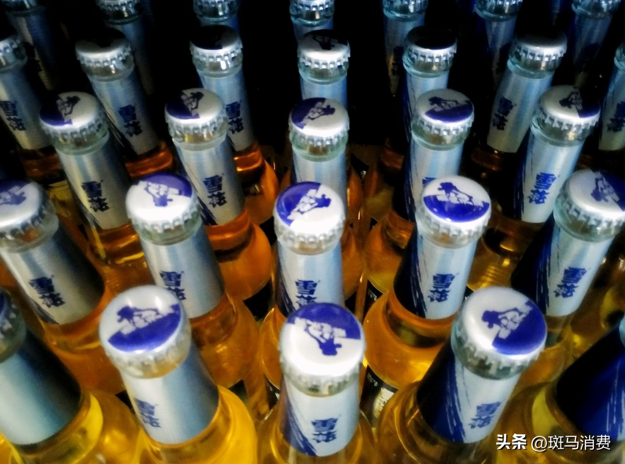 Who can become the Chinese version of the king of beer? - iMedia