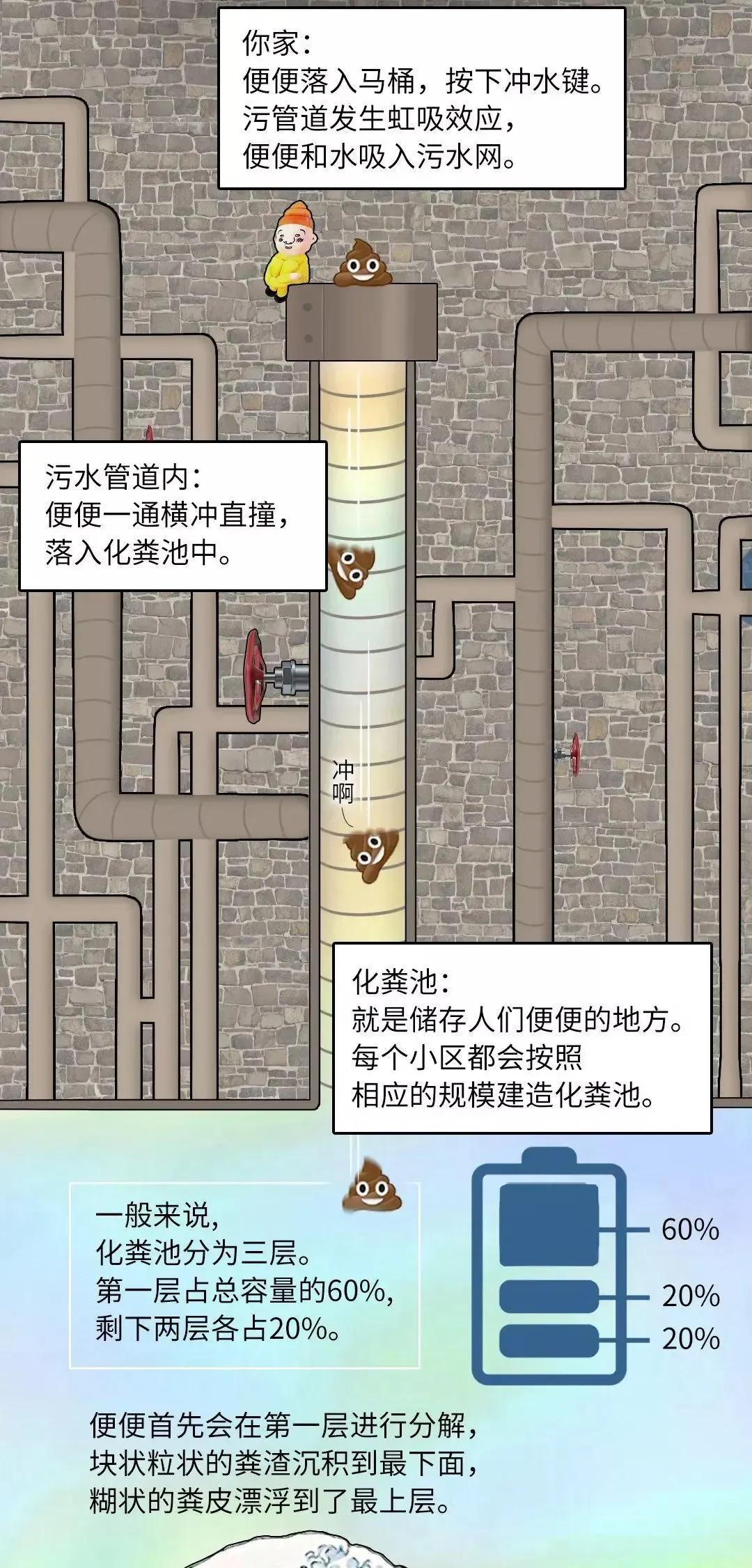 Where did the "shit" we pull every day?Strange knowledge has increased ...