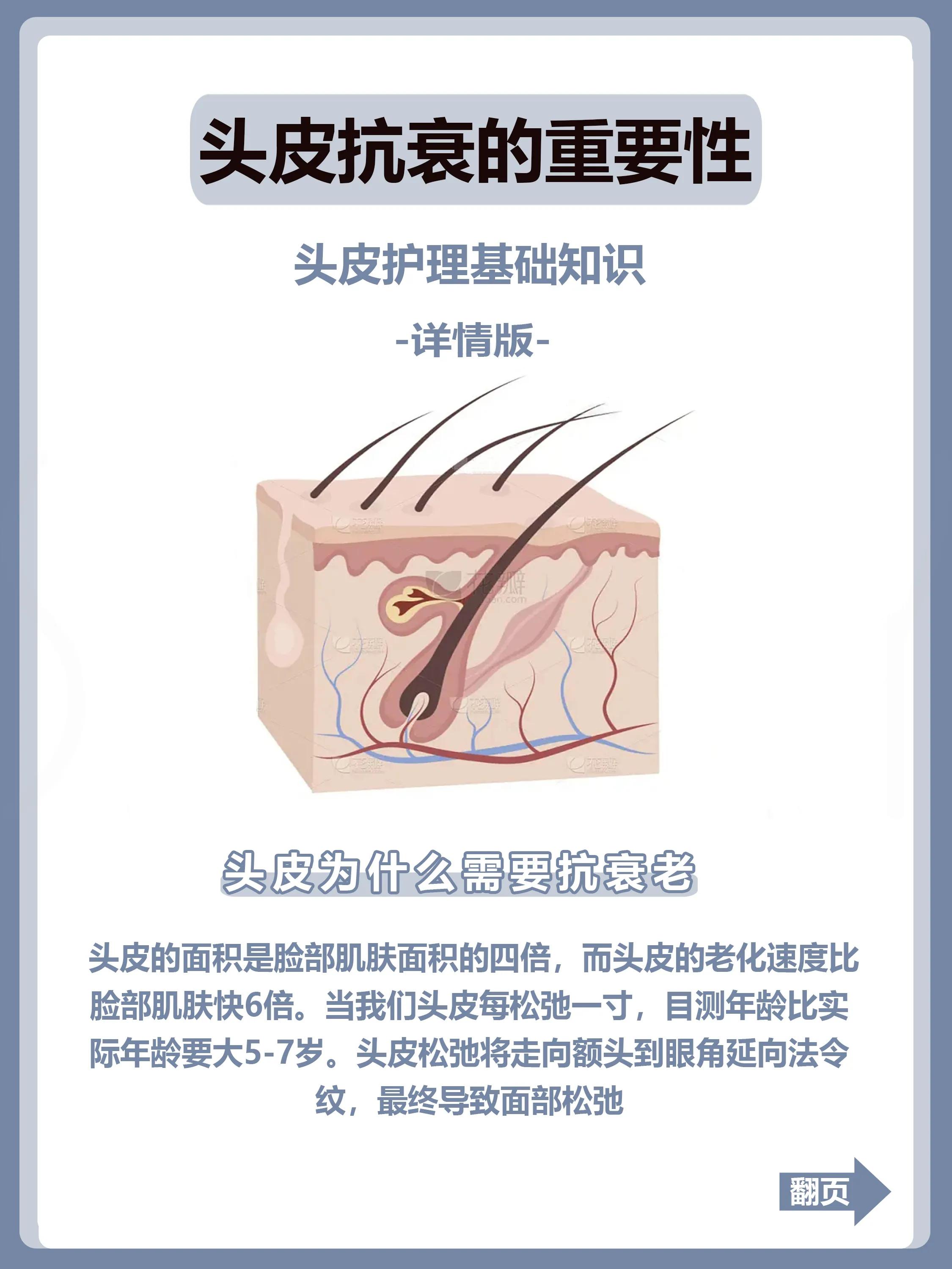 The importance of scalp anti-aging - iNEWS