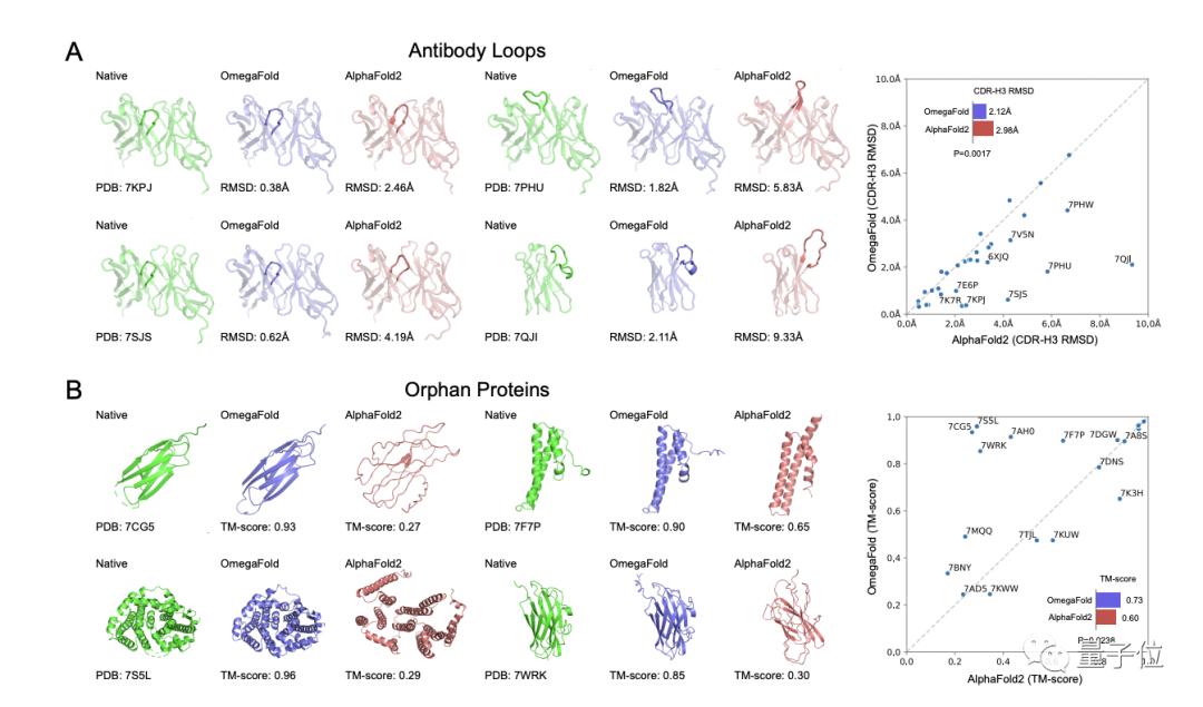 Domestic AI protein structure prediction reproduces breakthrough ...