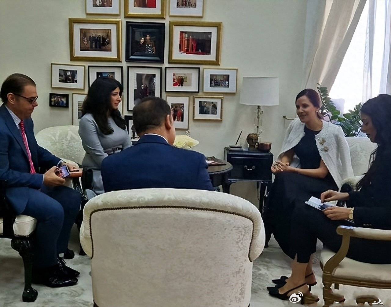 Review: The First Lady of Serbia attends a dinner party, and her new ...