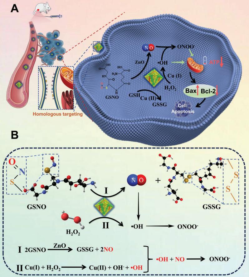 Adv. Funct. Mater from Wang Desong's team at Yanshan University. - iNEWS