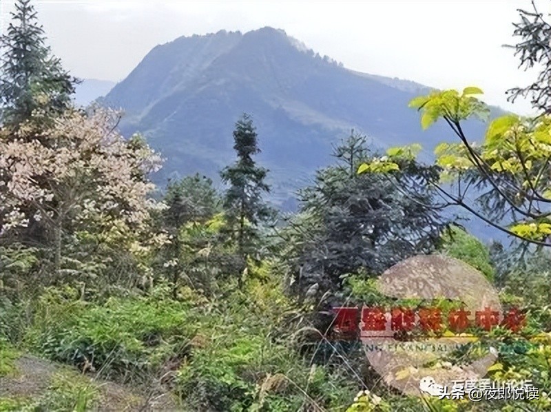 Liangzi of a Thousand Mouths-Zeng Qingfu - iNEWS