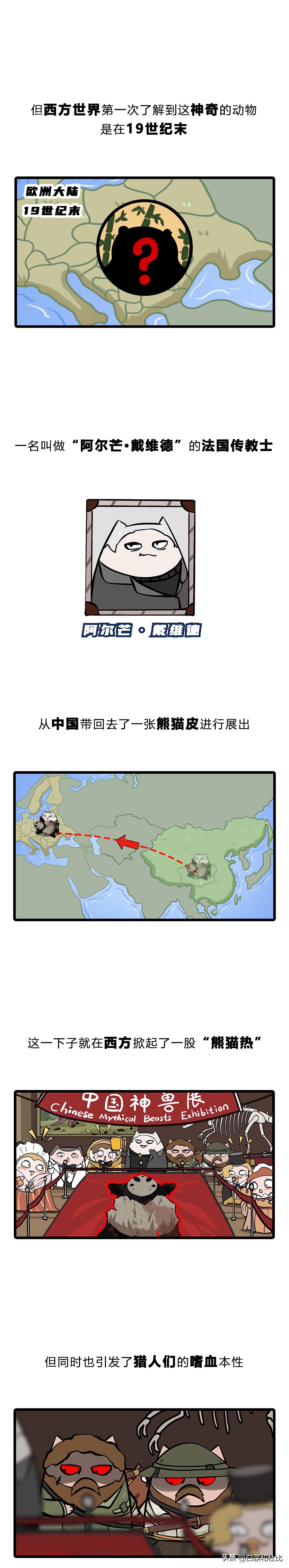 How miserable was the giant panda in the past? (Cabbage Dolby's ...