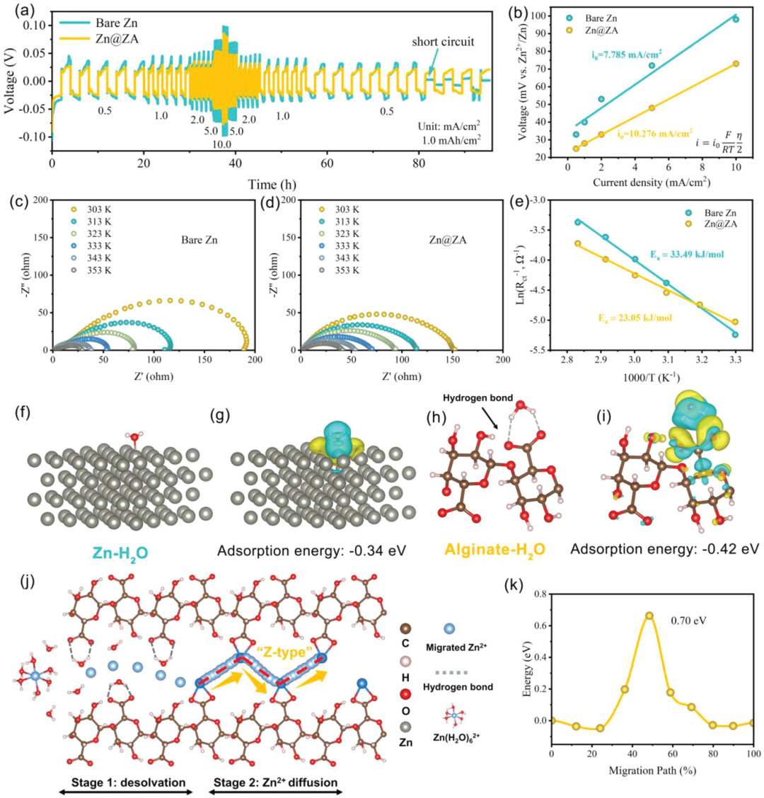 Adaptive and self-healing hydrogel interfaces with fast Zn2+ transport ...