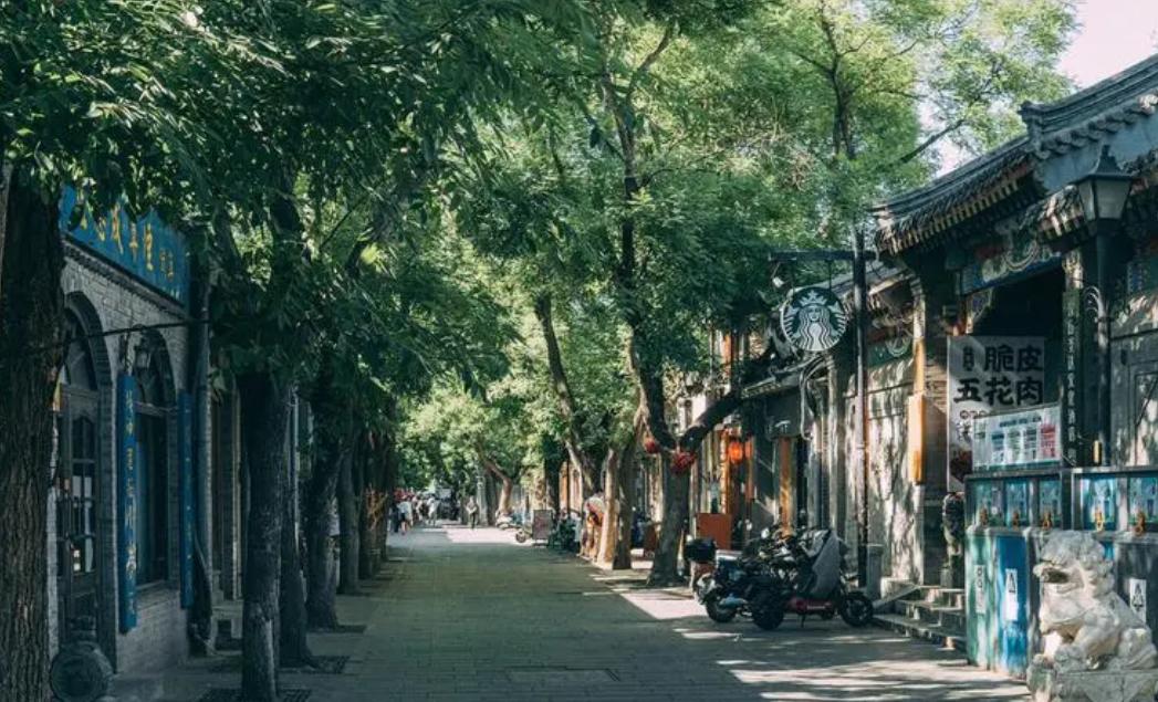 A Journey to Beijing: History and Modernity Intertwine at the Roots of ...