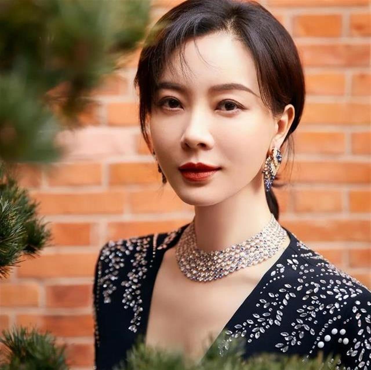 "Female version of Jin Dong" Chen Shu: Success depends on one face, and ...