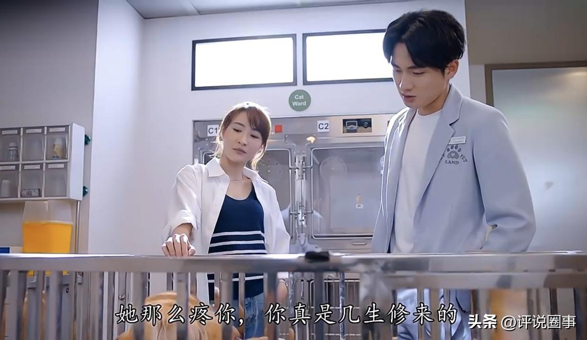 TVB's new drama "Love Pet Pet" is a sweet hit, Lin Xiawei and Zhou Jialuo's CP is so cute! - iNEWS