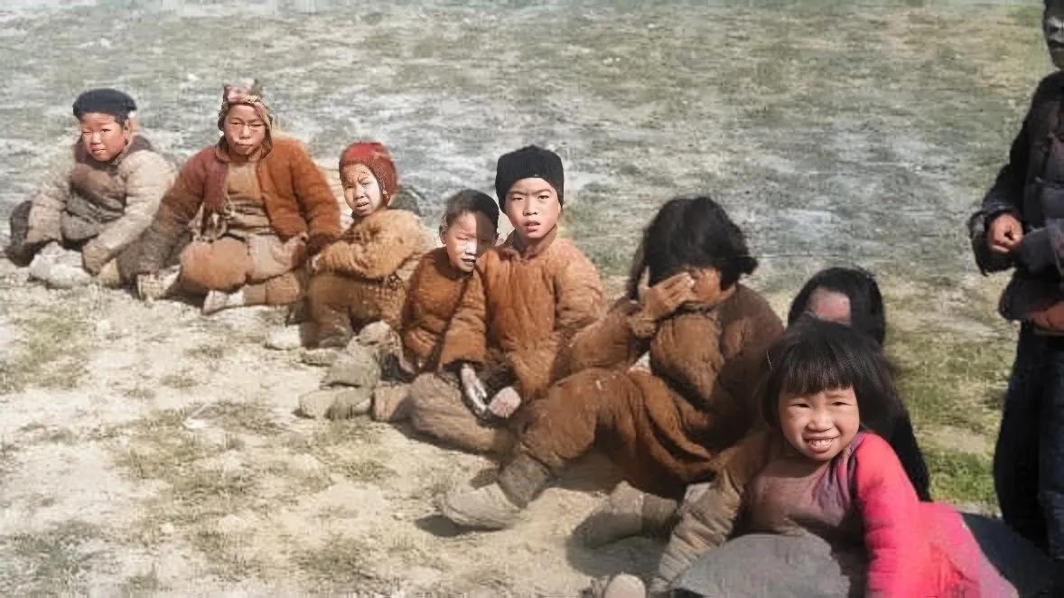 Eat 4 million dogs a year? , Why do Vietnamese people love to eat dogs ...