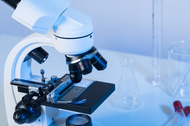 Correlative low-temperature super-resolution light and electron ...