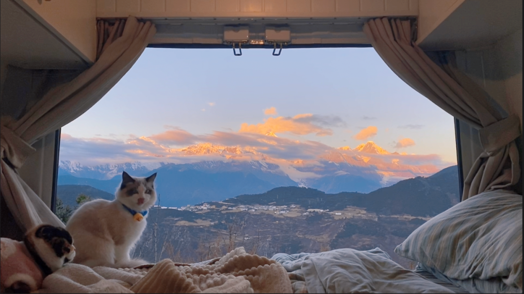 Put "home" in a 10 square meter RV, two people and three cats travel ...