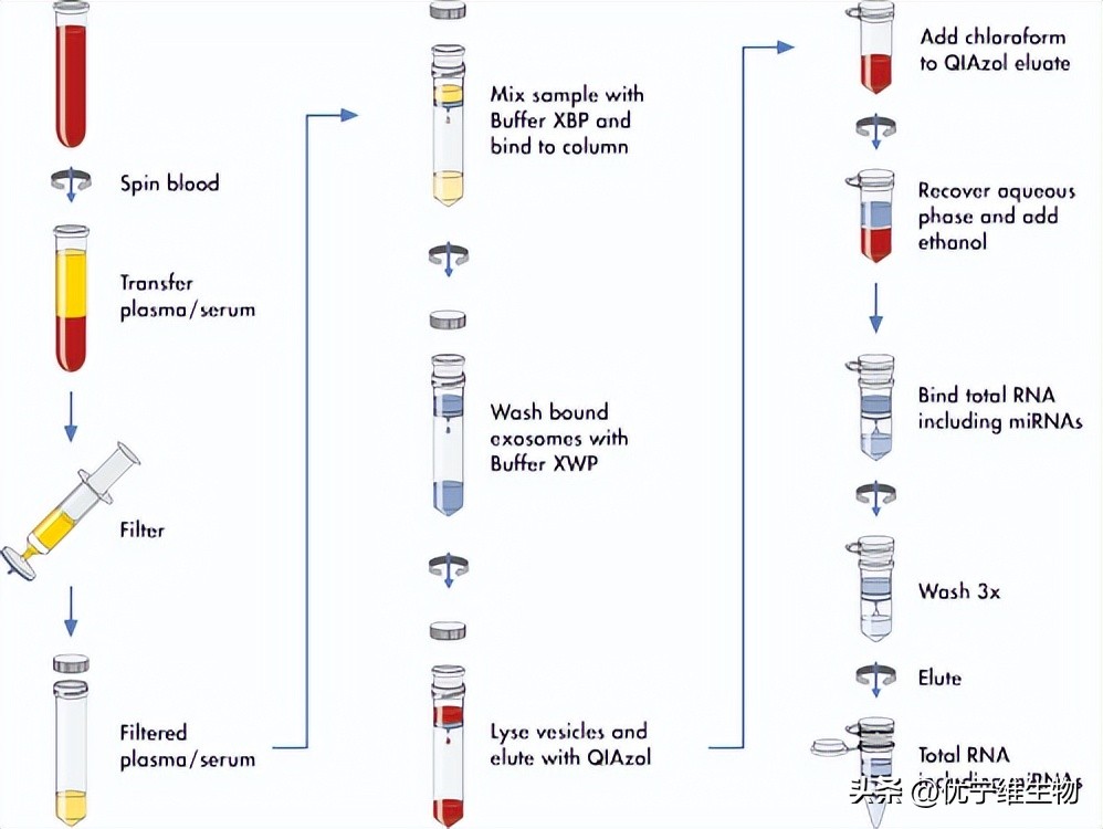 Exosome & miRNA Complete Solution - iNEWS
