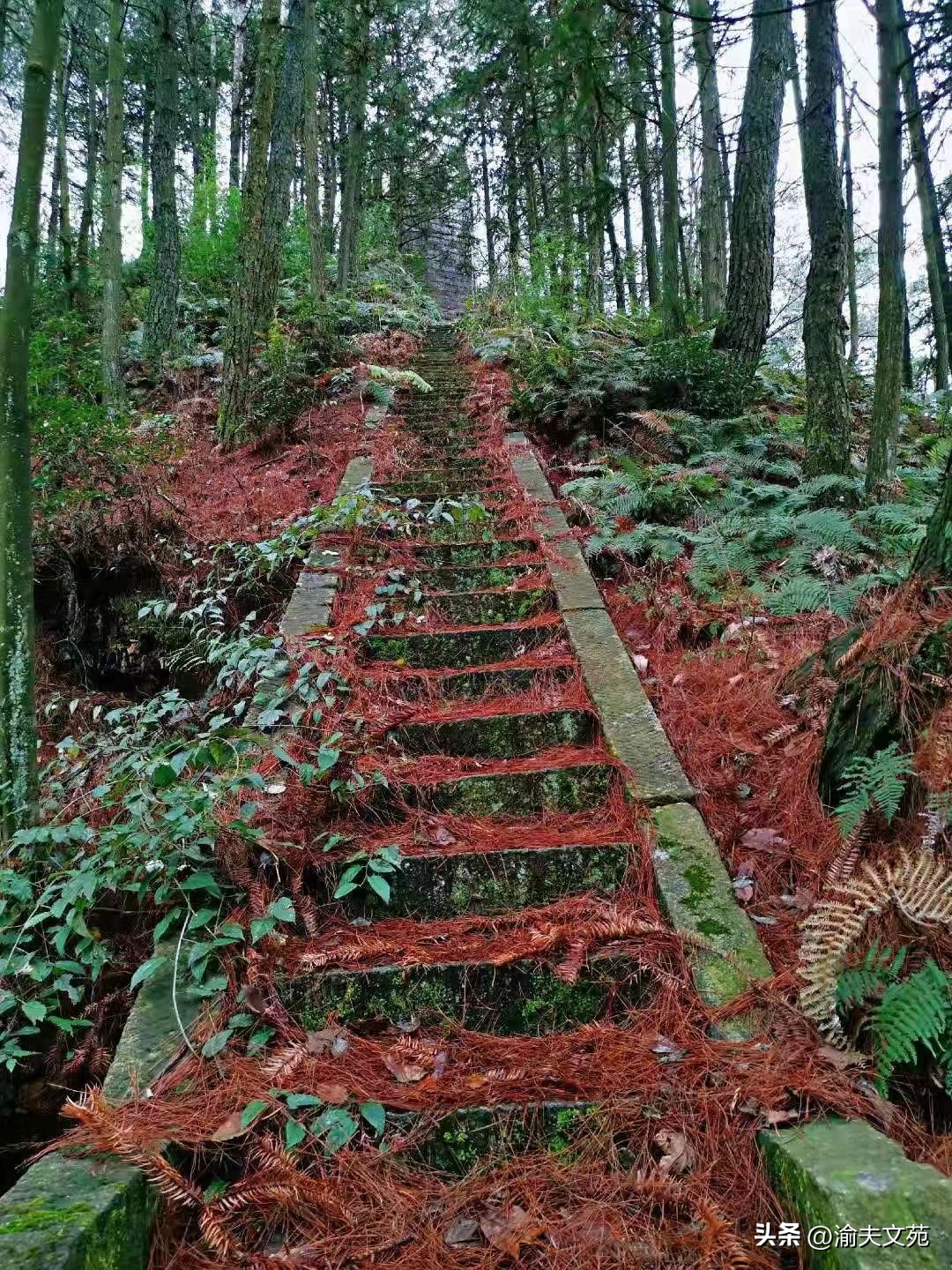 "Lei Laosan's "Red Learning Concept" 70: What is Red Learning - One of Ten Lectures in "Dream of ...