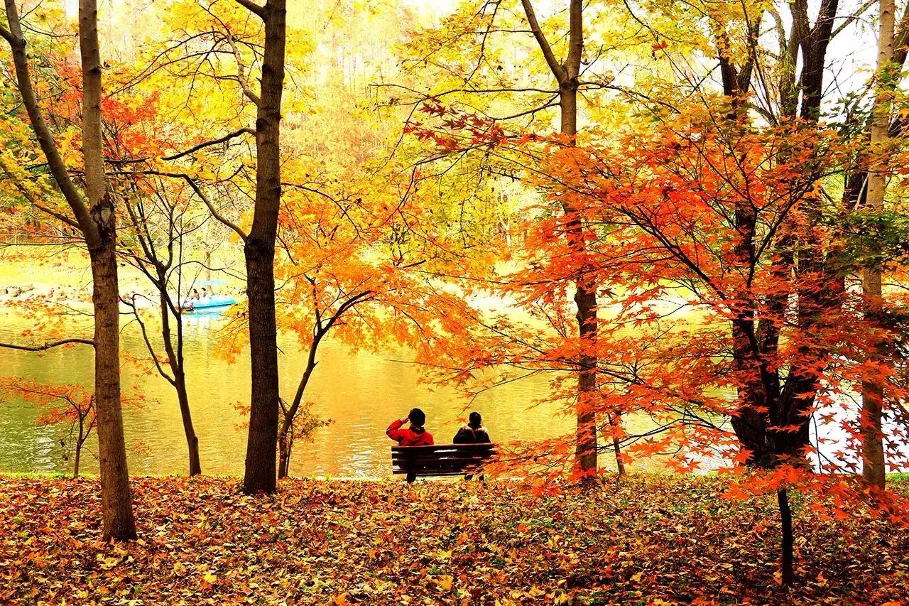 Pan Gu created the world - iNEWS