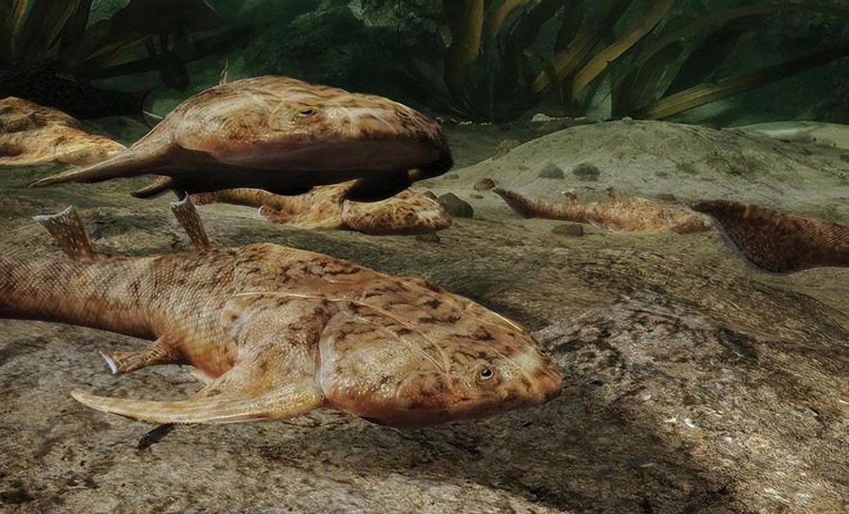 Original history rewritten! Scientists find evidence that humans ...