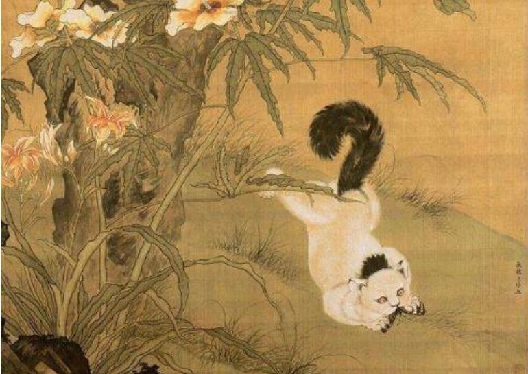 Why do Chinese people not eat cat meat? Li Shizhen has already told the ...