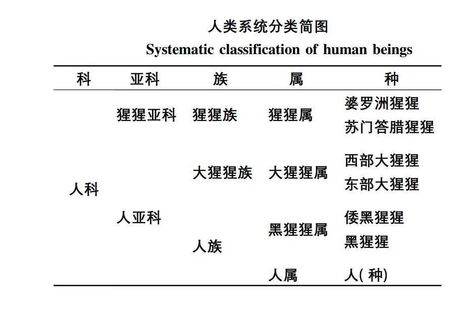 The origin of human beings: There were no humans on the earth, so how ...