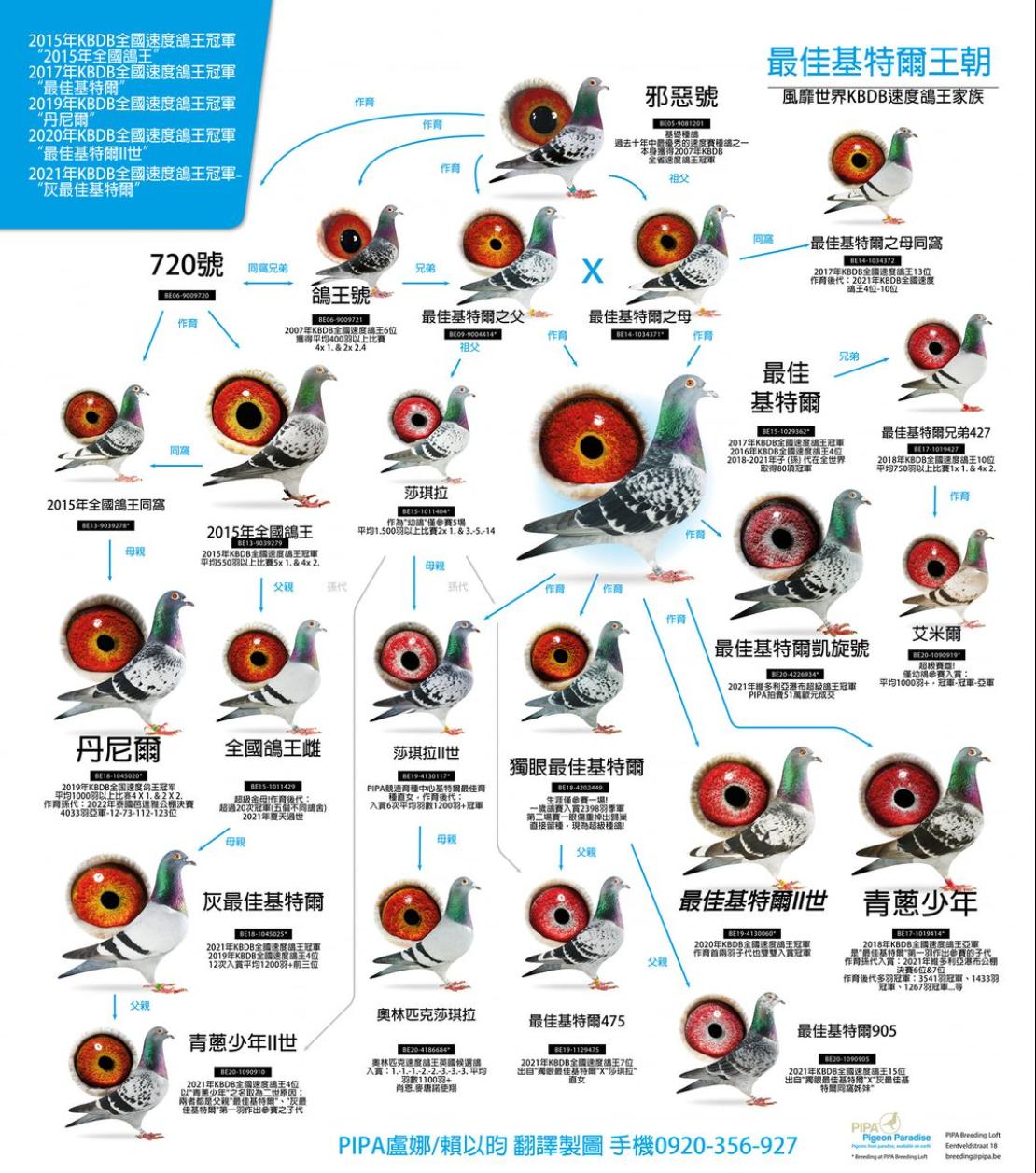 The world famous pigeon "Best Kittel" was found to have a new "CRY1 ...